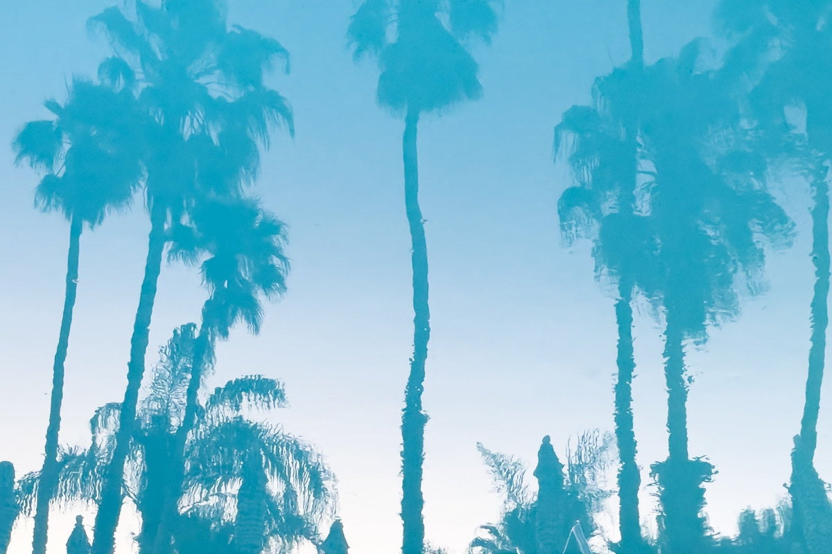 Colony Pool Palms | Old Hollywood Glamour Contemporary Print